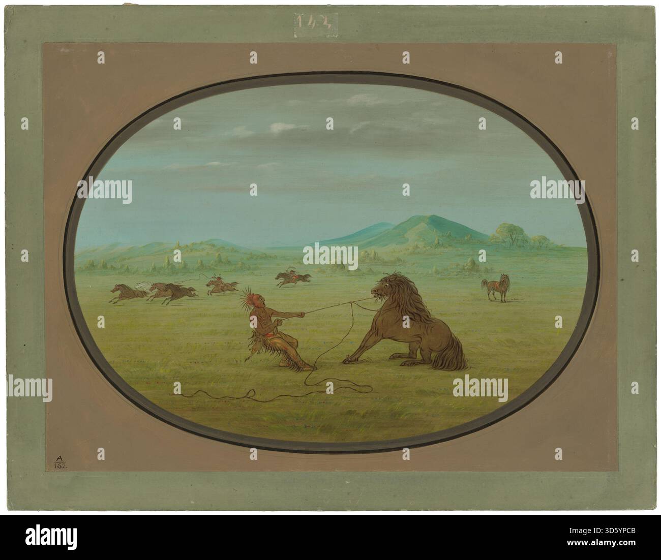 Shows Pawnee individuals capturing wild horses, depicting mounted ...