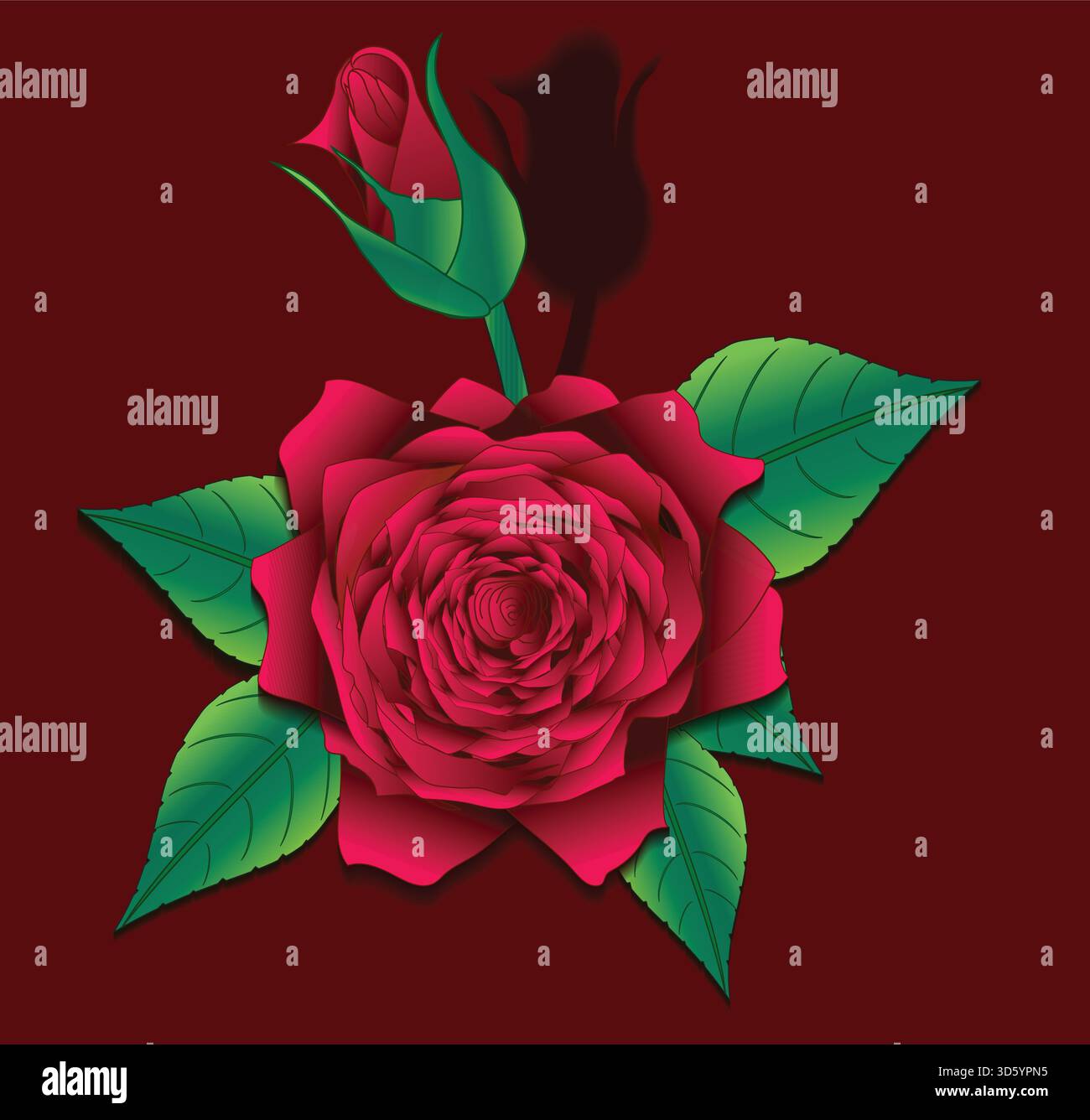 Beautiful burgundy red rose Cut Out Stock Images & Pictures - Alamy