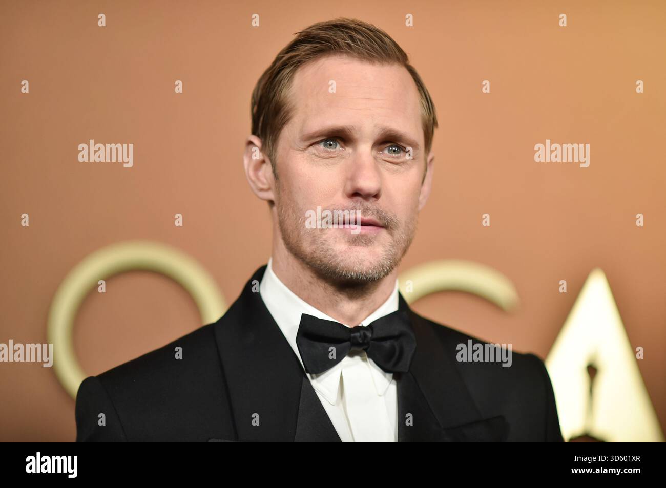 Alexander Skarsgård arrives at the 16th Governors Awards on Sunday, Nov ...