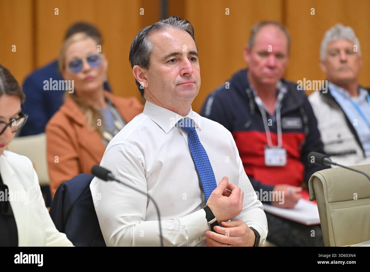 Commonwealth Bank CEO Matt Comyn during the House of Representatives ...