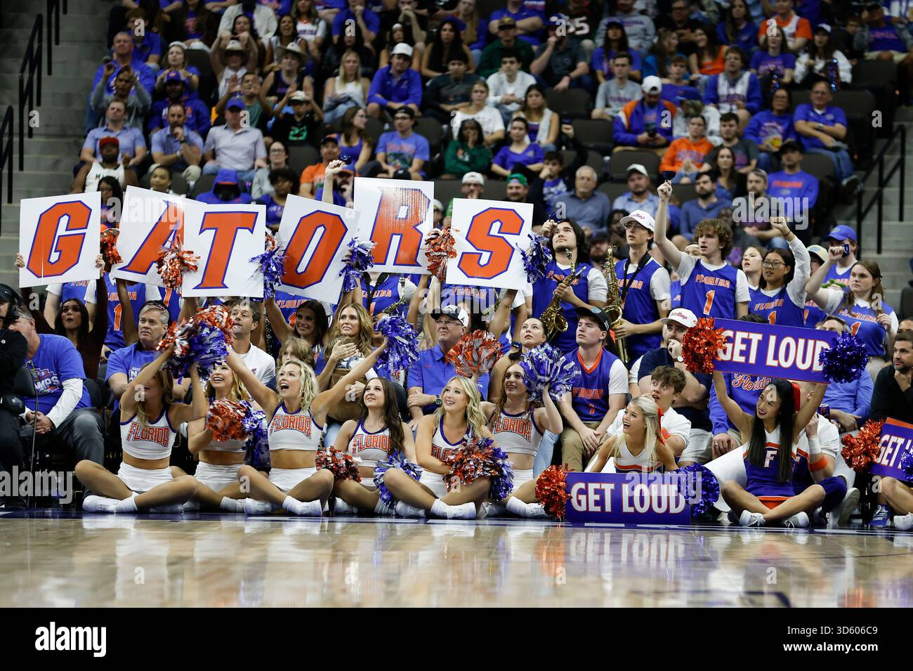 JACKSONVILLE, FL - NOVEMBER 16: Florida Gators cheerleaders and band ...
