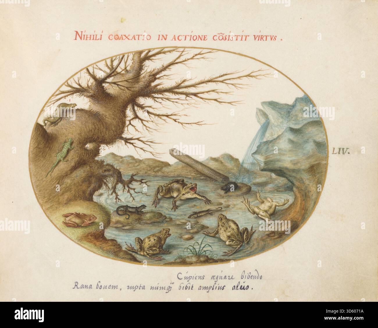 This c. 1575–1580 Plate LIV by Hoefnagel depicts terrestrial quadrupeds ...