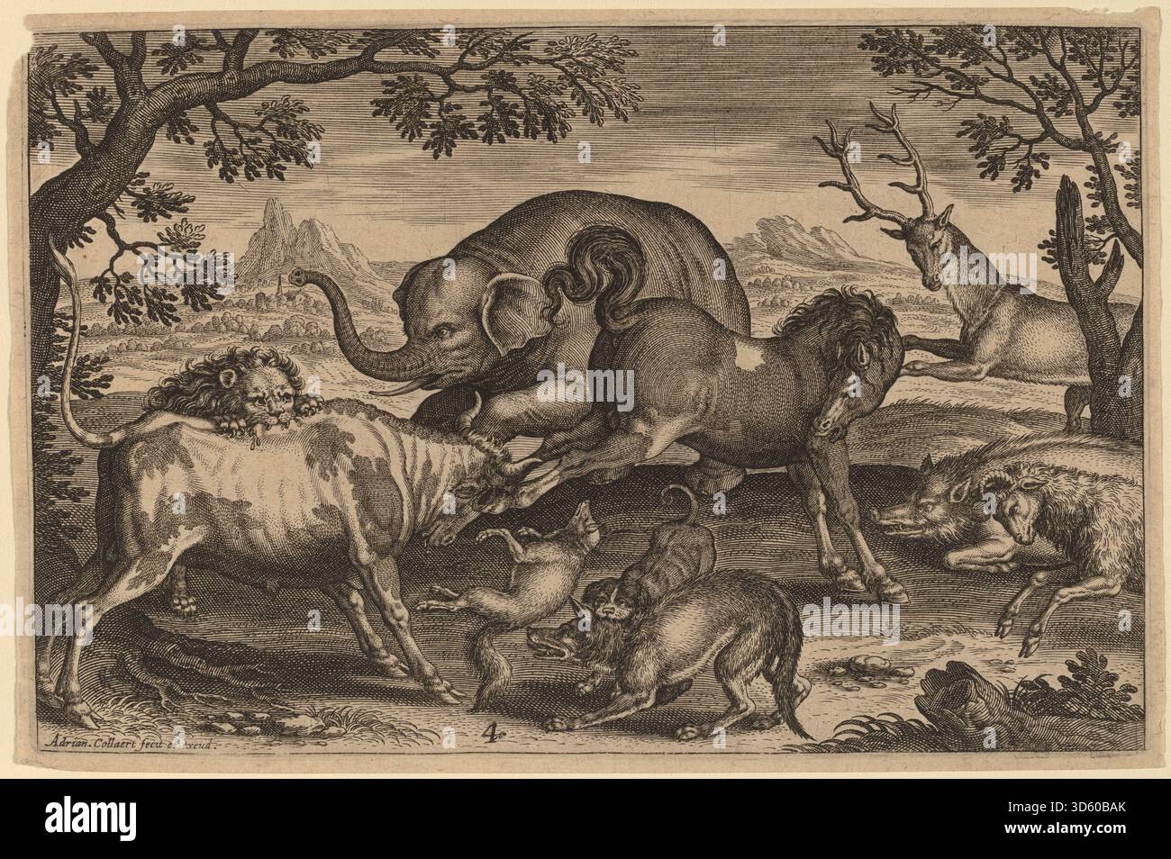 Illustration features four detailed depictions hi-res stock photography ...