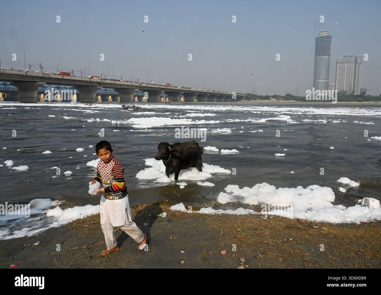 NEW DELHI, INDIA - NOVEMBER 17: A view of polluted waters of Yamuna ...