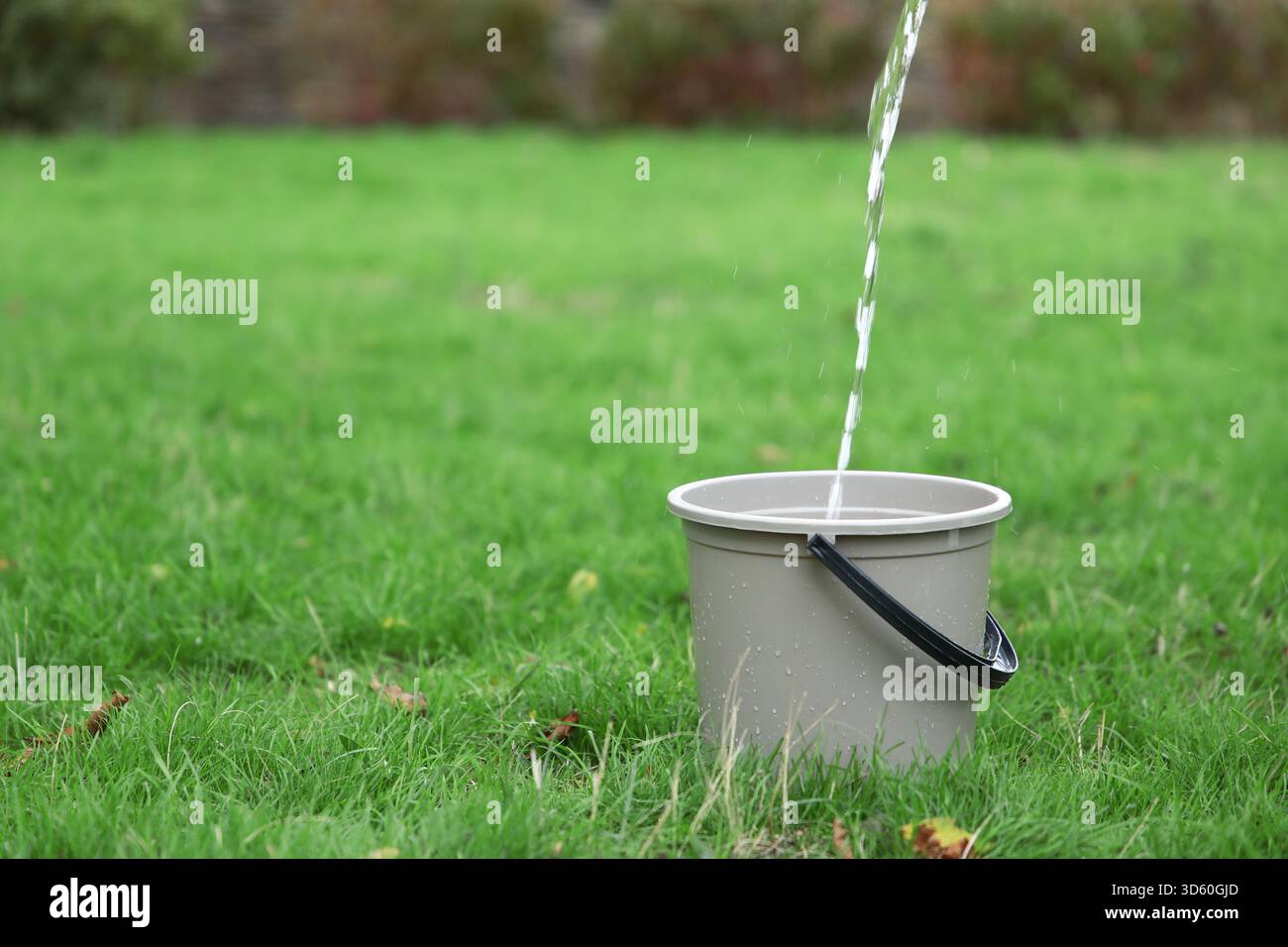 Pouring of water into plastic bucket on green grass outdoors Stock ...