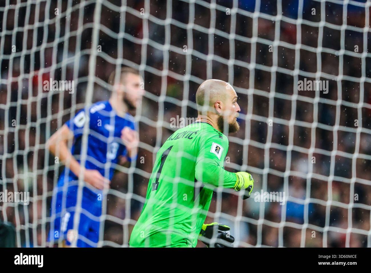 London, UK. 13th Nov, 2025.Serbia's goalkeeper Predrag Rajkovic during ...