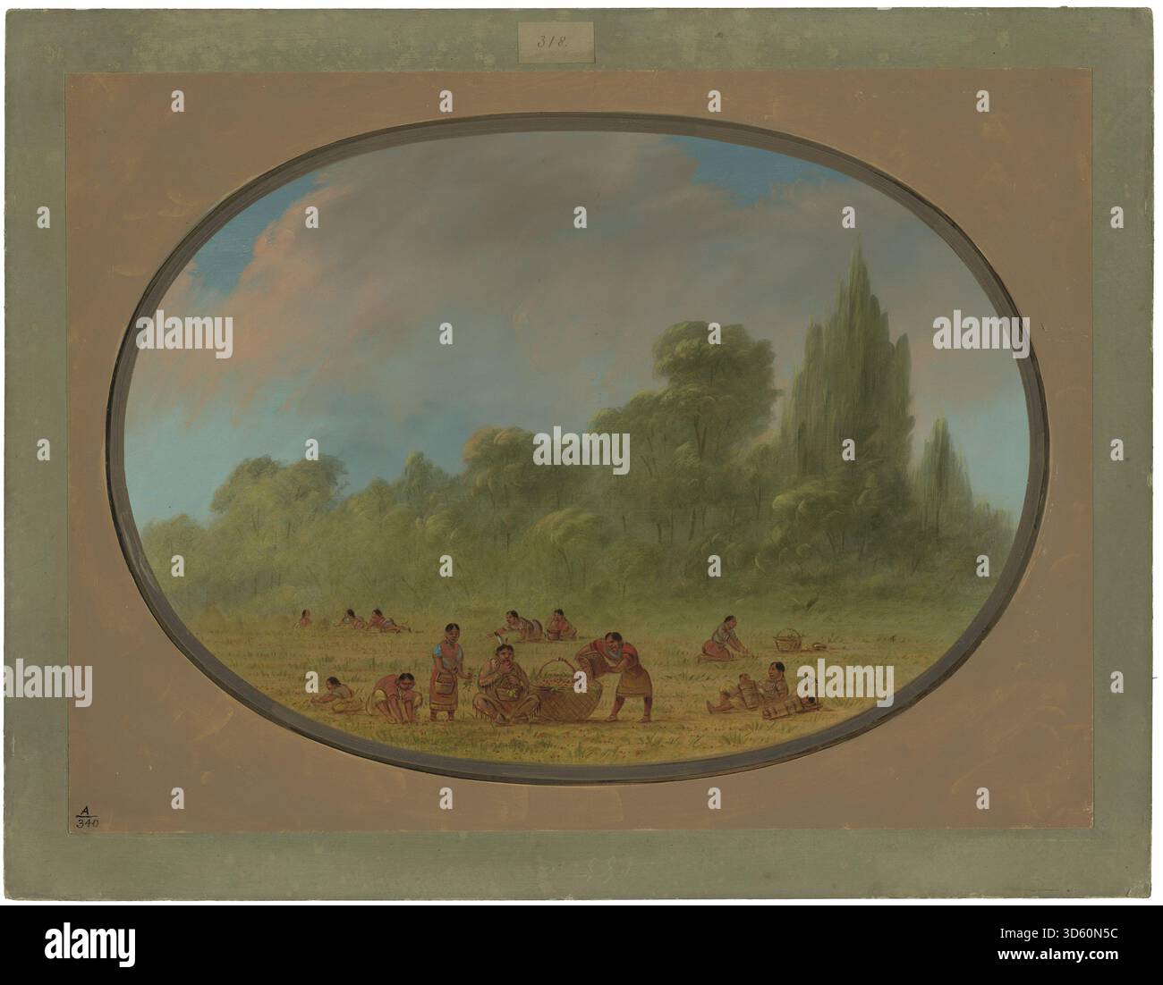 Native vegetation Cut Out Stock Images & Pictures - Alamy