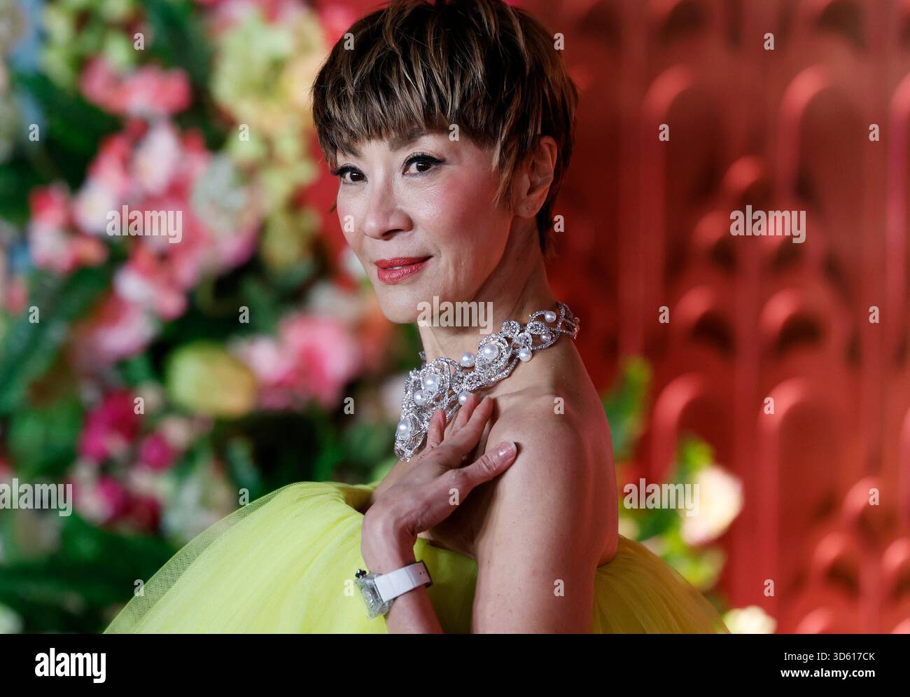 Michelle Yeoh arrives on the red carpet at the "Wicked: For Good!" New ...