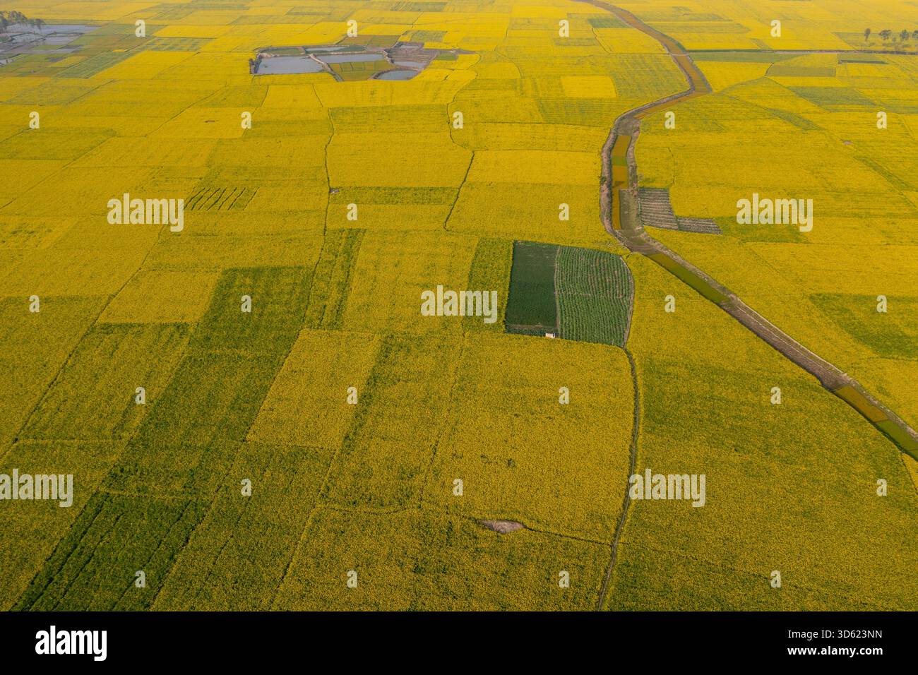 A breathtaking drone view reveals the patchwork of lush agricultural ...