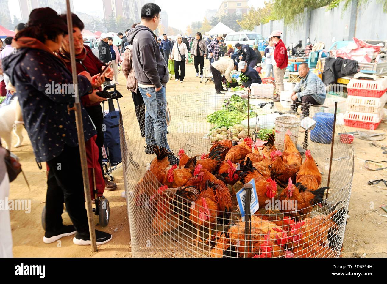 People shop at a country fair in Qingdao City, east China's Shandong ...