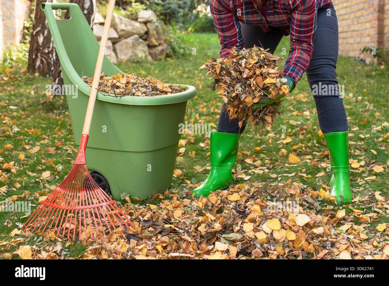 Autumn garden works, raking leaves Stock Photo - Alamy