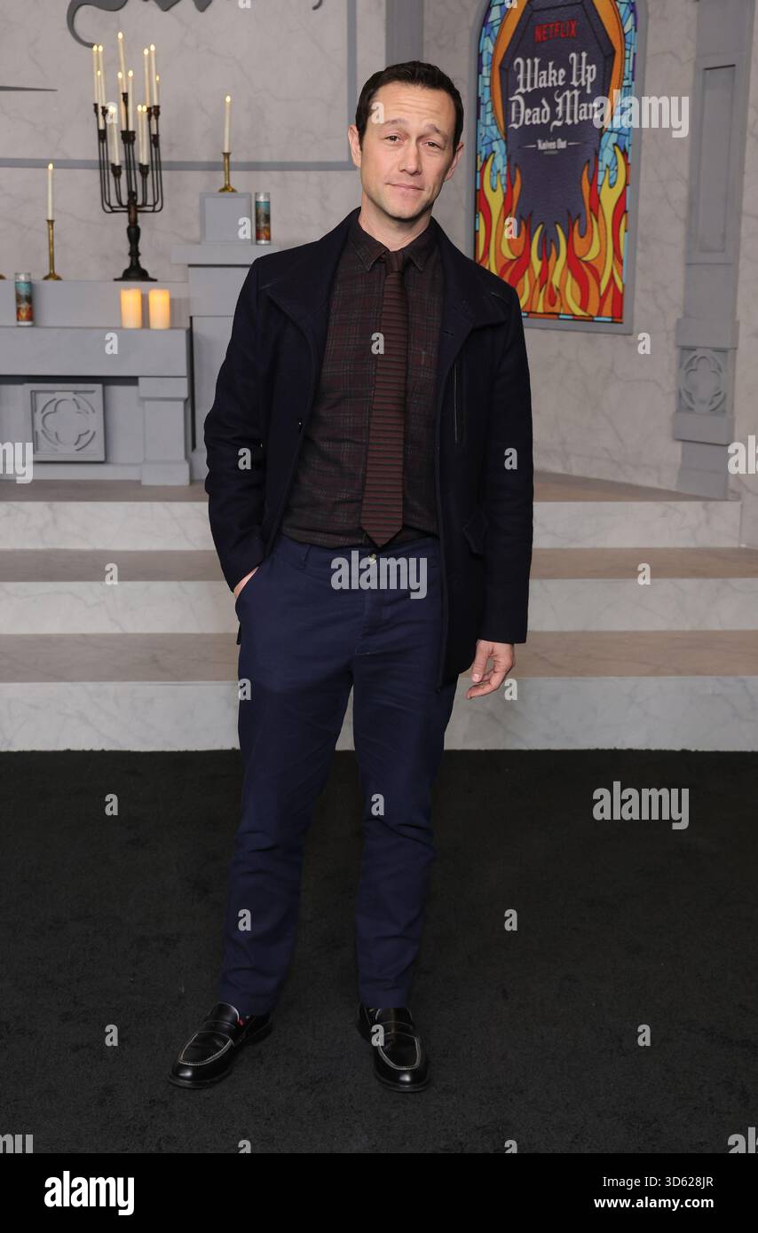 17 November 2025 - Los Angeles, California - Joseph Gordon-Levitt. Los ...