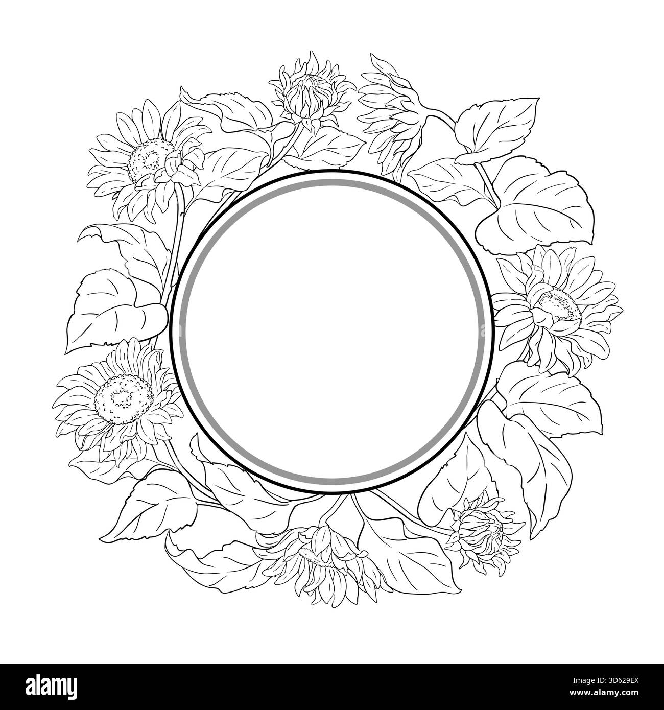 Sunflower frame line Black and White Stock Photos & Images - Alamy