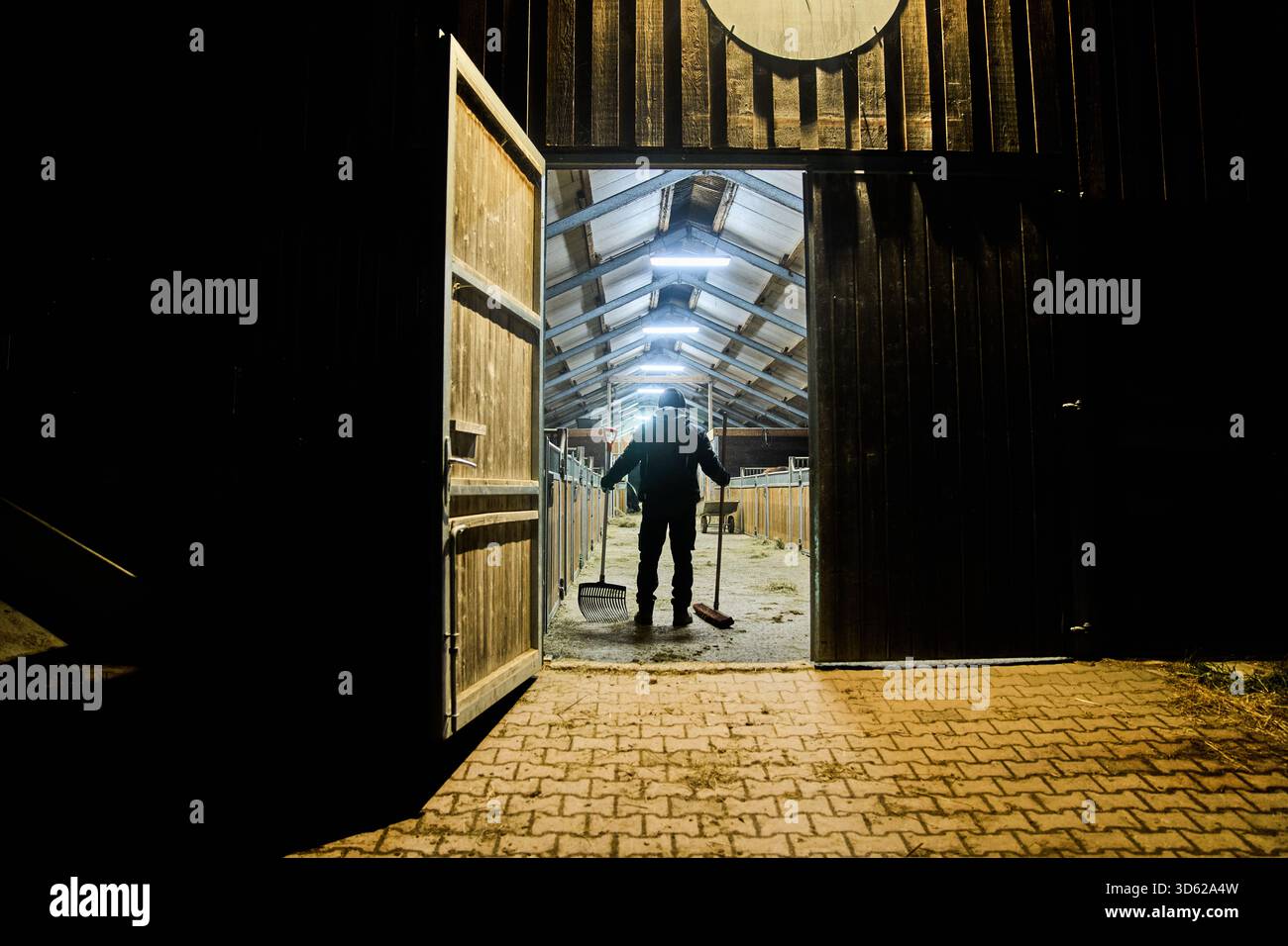 A stable master starts his work in a stable of a stud farm in Wehrheim ...