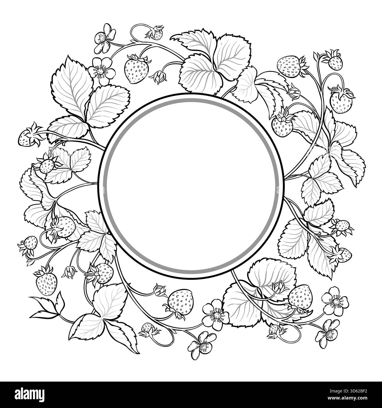 Strawberry leaves flowers ripe Stock Vector Images - Alamy