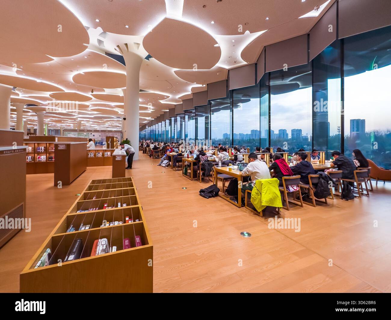 People read books at Beijing Library in Beijing, China, 15 November ...