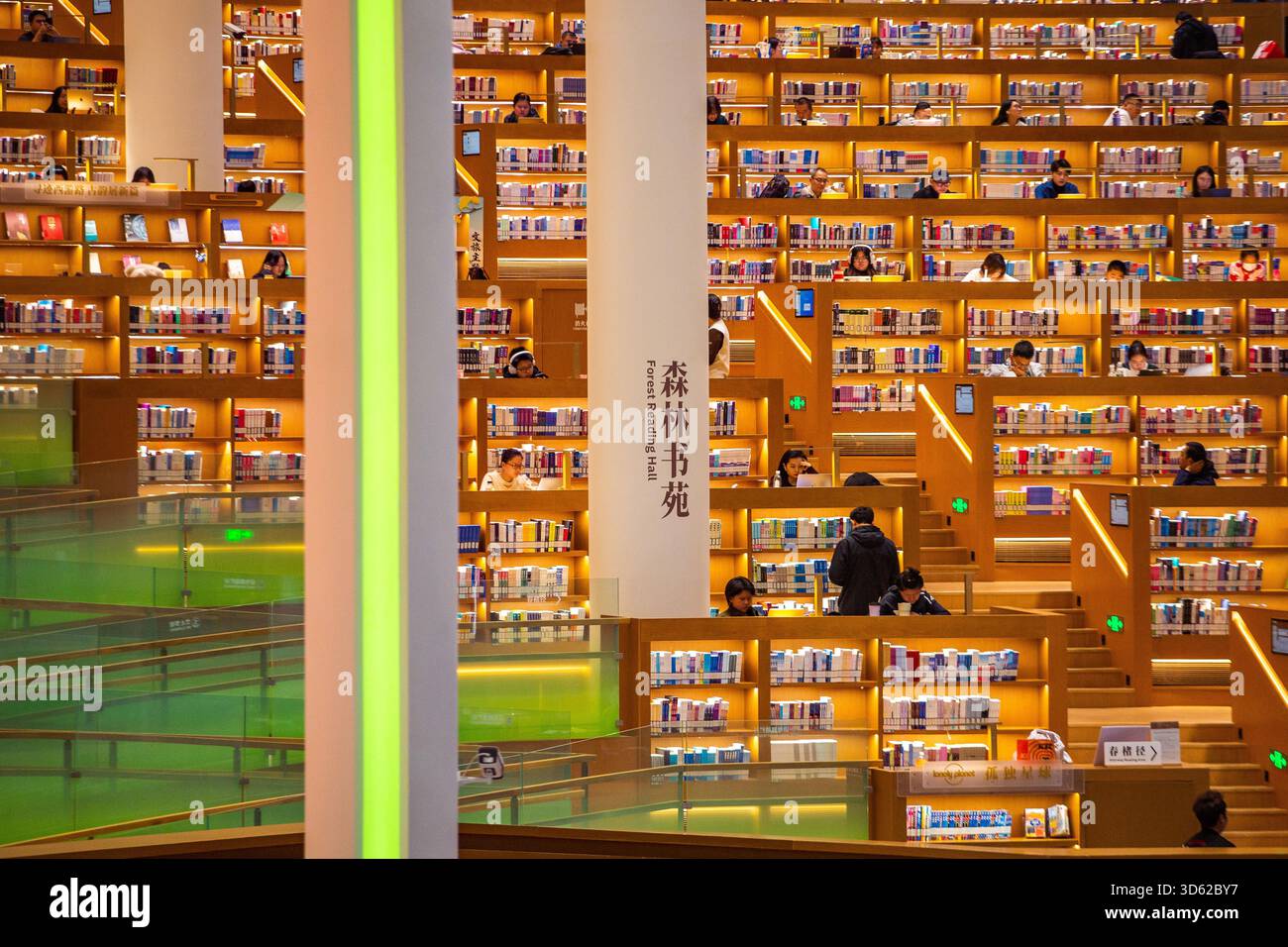 People read books at Beijing Library in Beijing, China, 15 November ...