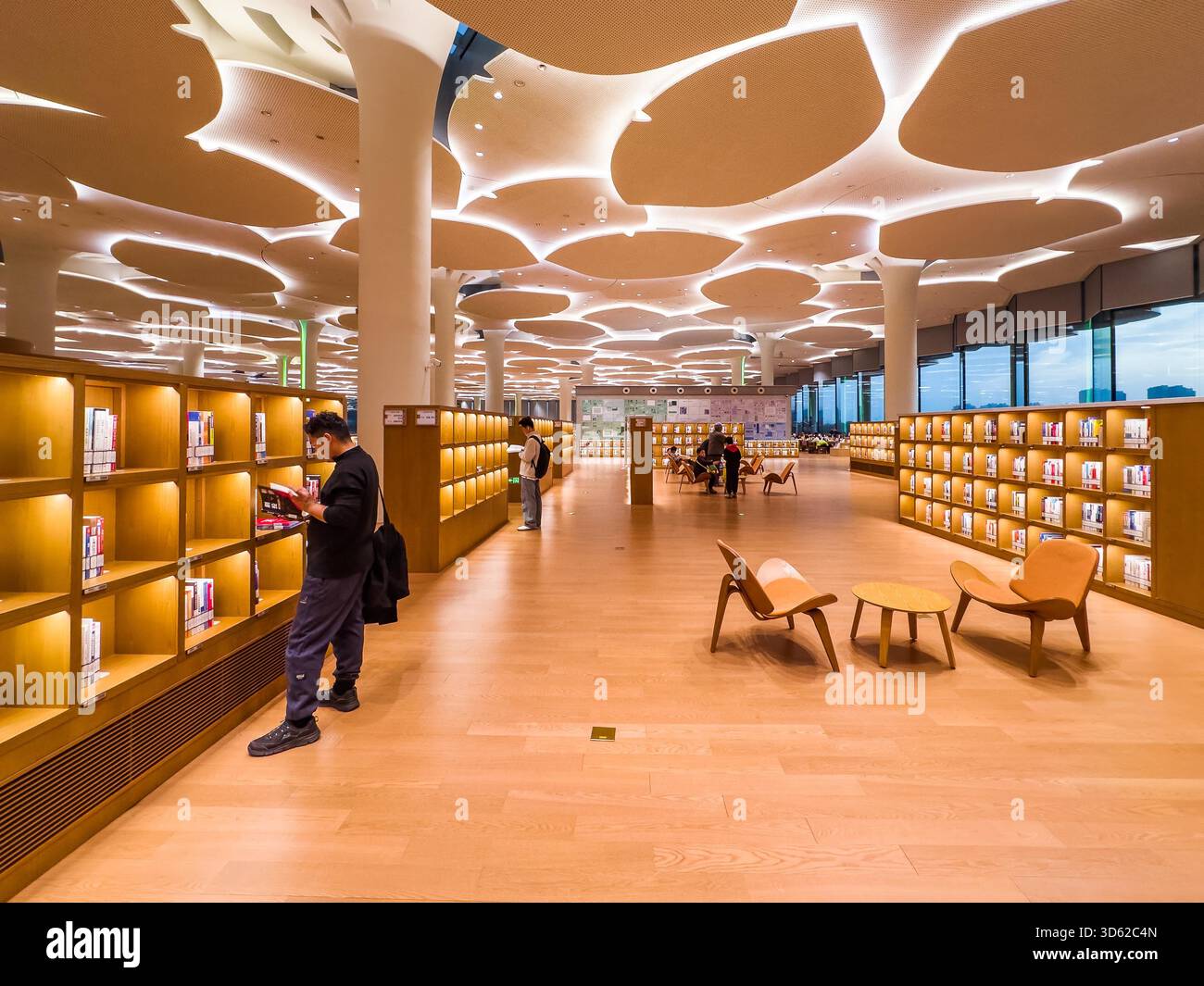 People read books at Beijing Library in Beijing, China, 15 November ...
