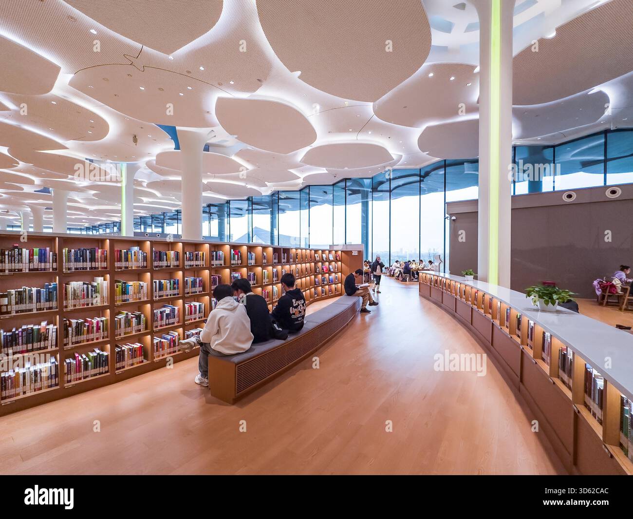 People read books at Beijing Library in Beijing, China, 15 November ...