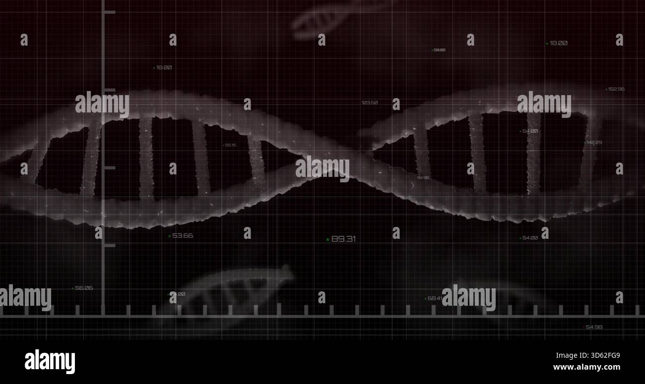 Displaying horizontal DNA double helix on console screen, with grid ...