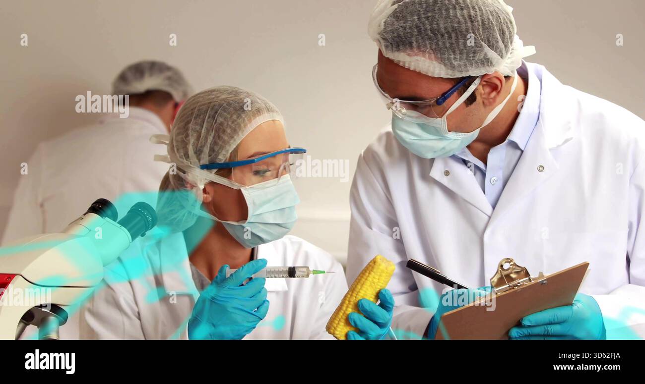 Injecting researchers in lab coats testing corn cob on lab bench with ...