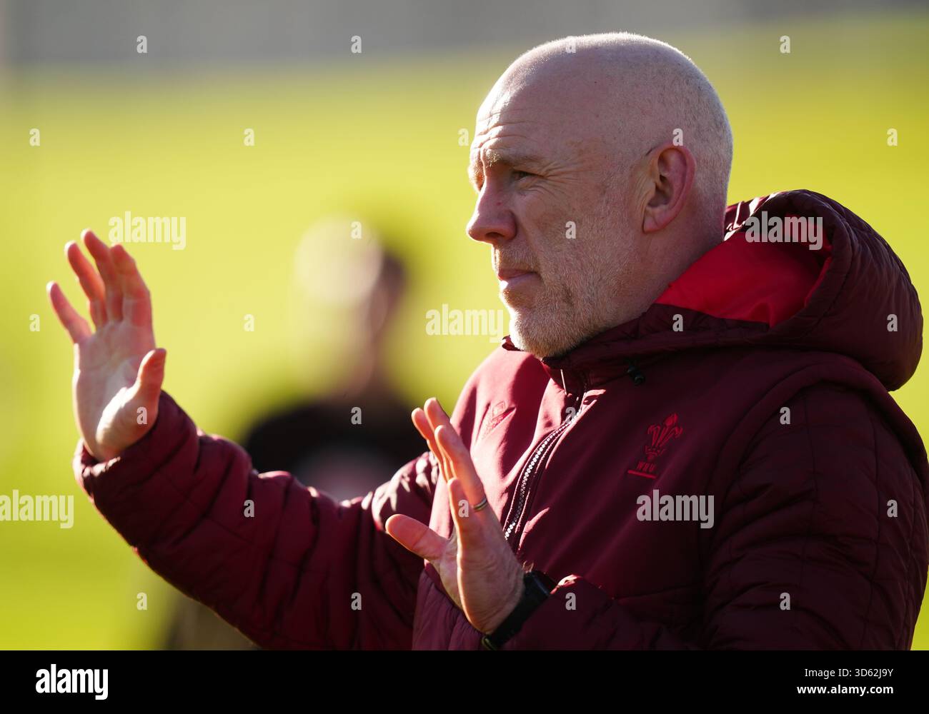 Wales head coach Steve Tandy during a training session at Vale Resort ...