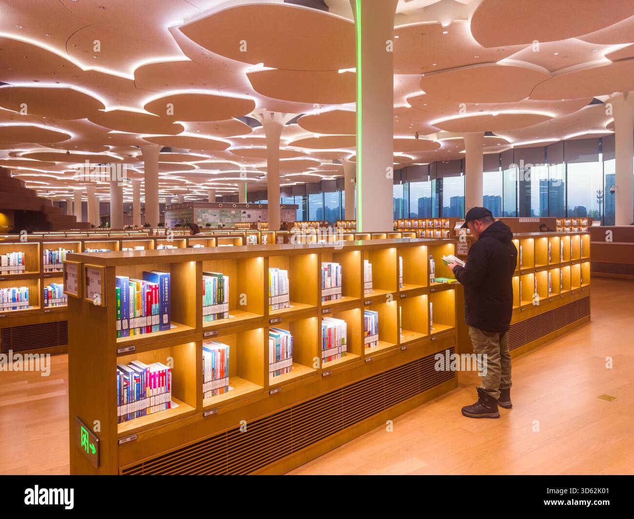 People read books at Beijing Library in Beijing, China, 15 November ...