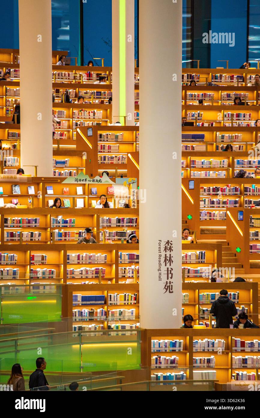People read books at Beijing Library in Beijing, China, 15 November ...