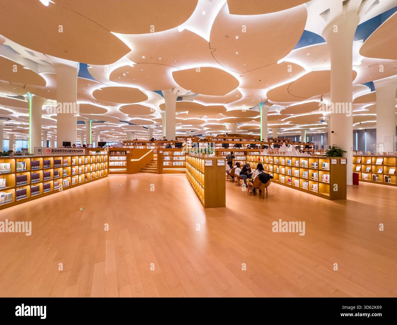 People read books at Beijing Library in Beijing, China, 15 November ...
