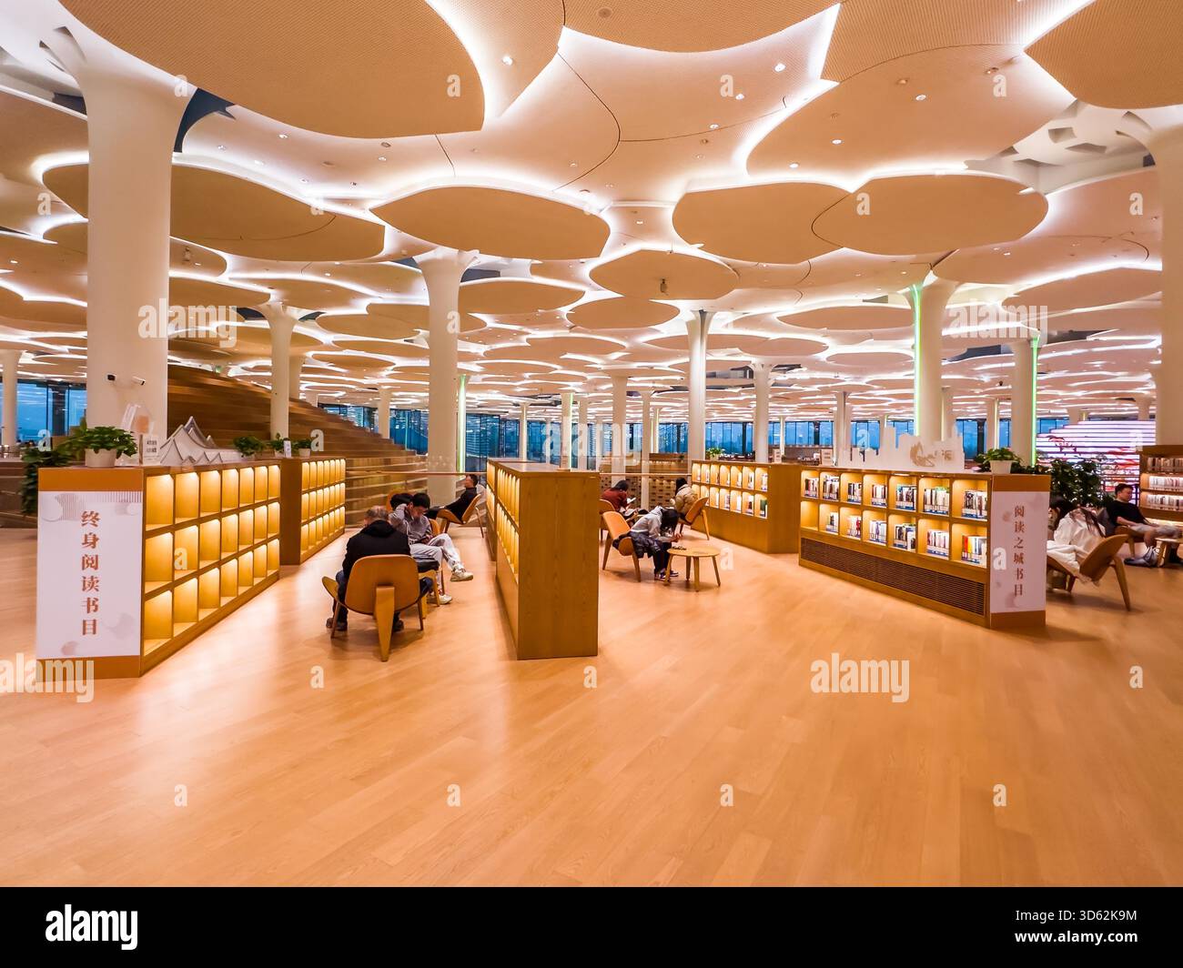 People read books at Beijing Library in Beijing, China, 15 November ...