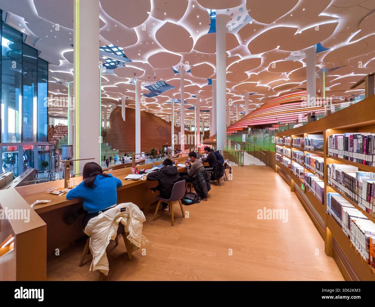 People read books at Beijing Library in Beijing, China, 15 November ...