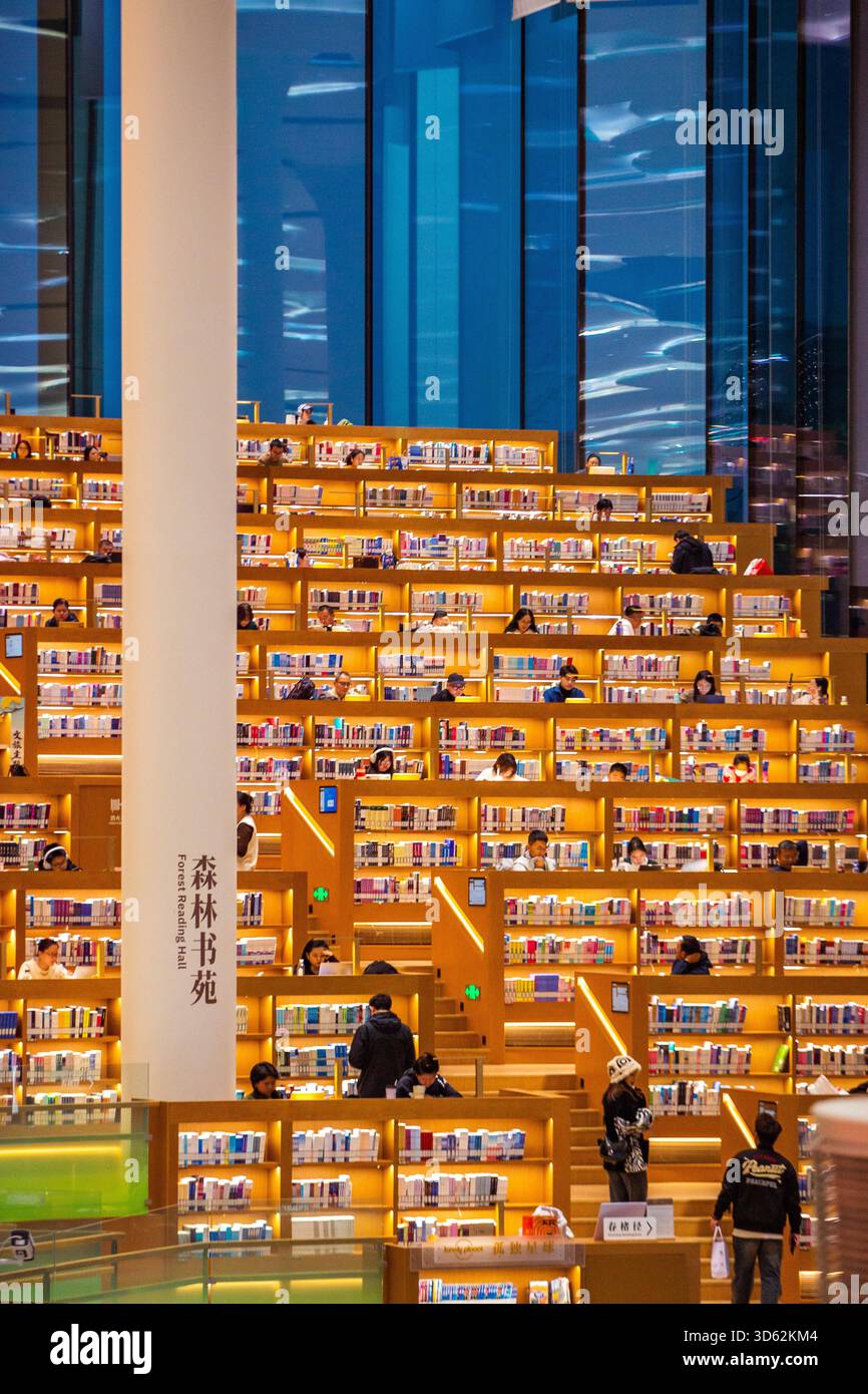People read books at Beijing Library in Beijing, China, 15 November ...
