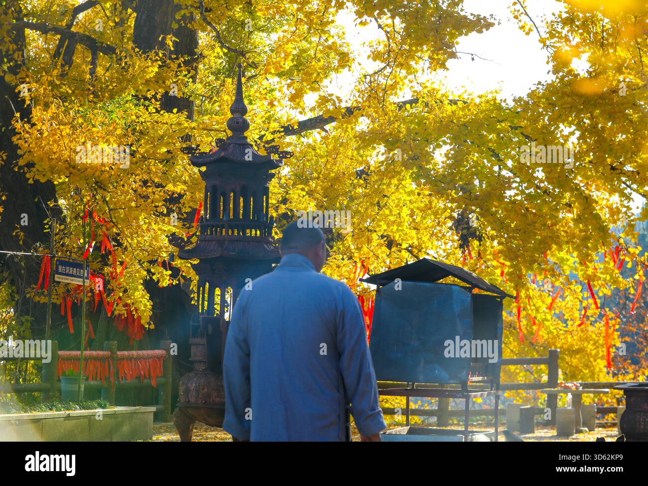 An ancient ginkgo tree attracts tourists in Chun'an County, Hangzhou ...