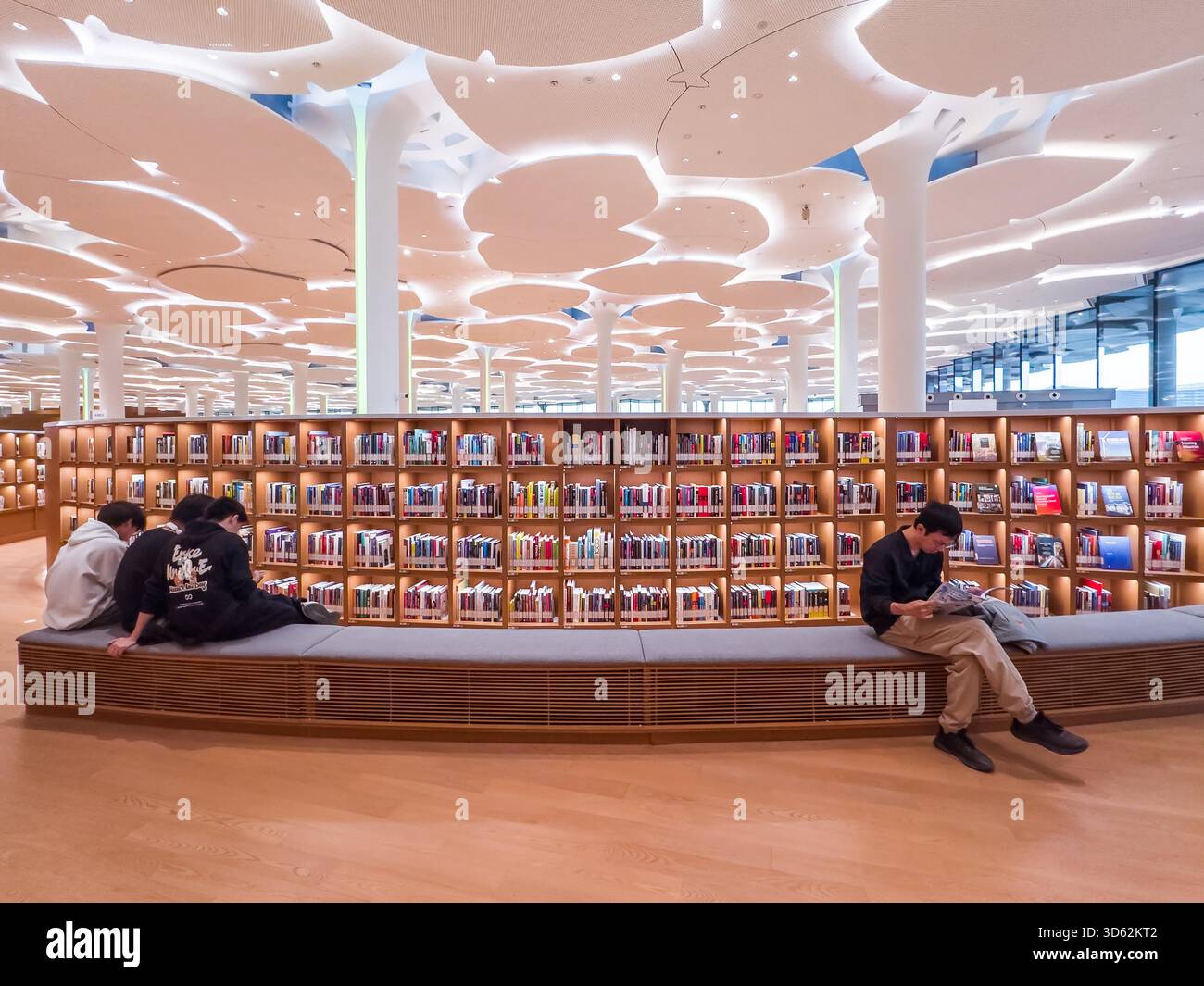 People read books at Beijing Library in Beijing, China, 15 November ...