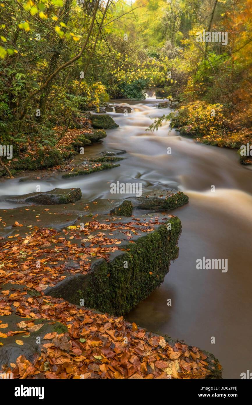River Clydach meandering it's way through Clydach Gorge Abergavenny ...