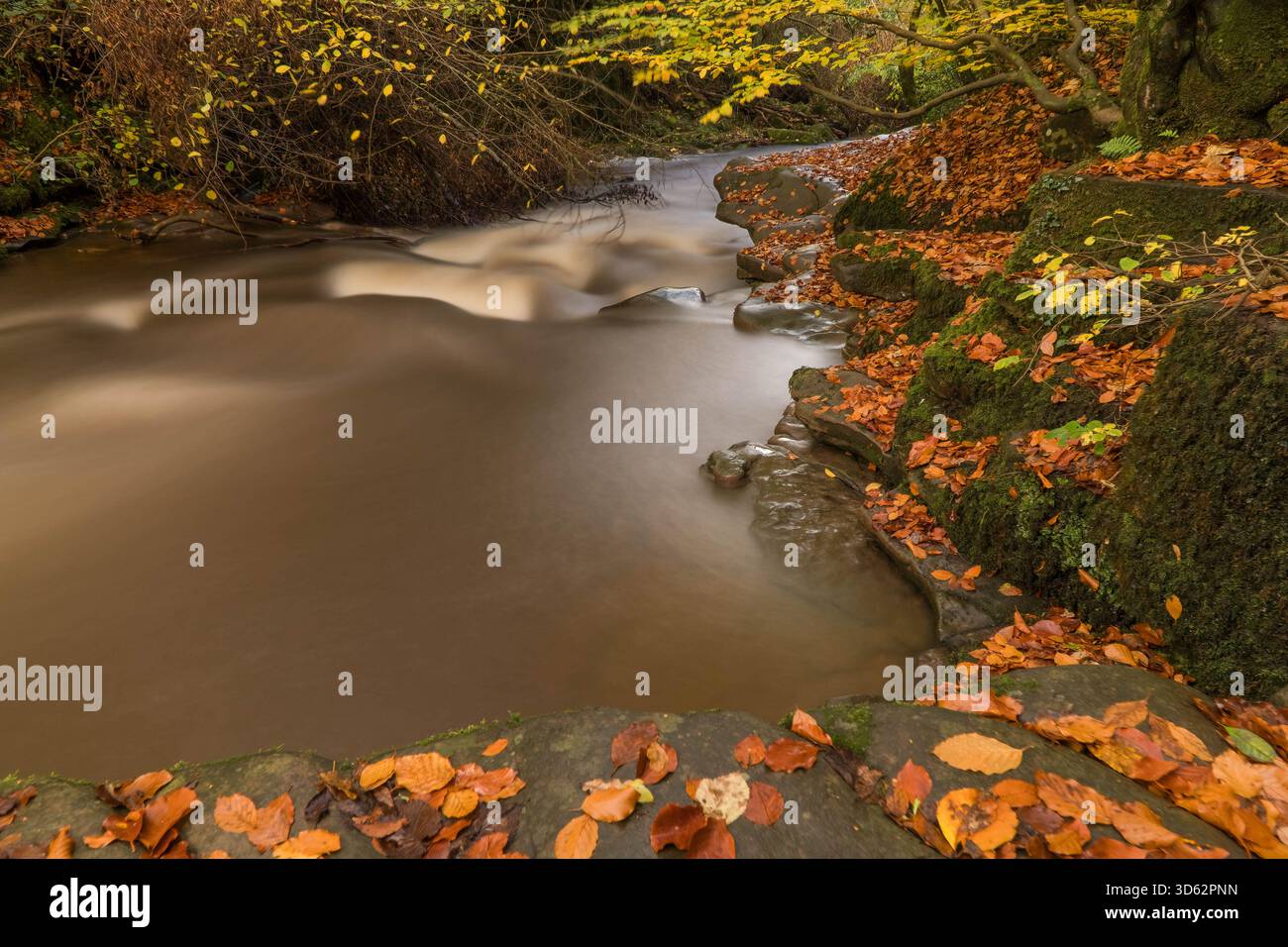 River Clydach meandering it's way through Clydach Gorge Abergavenny ...