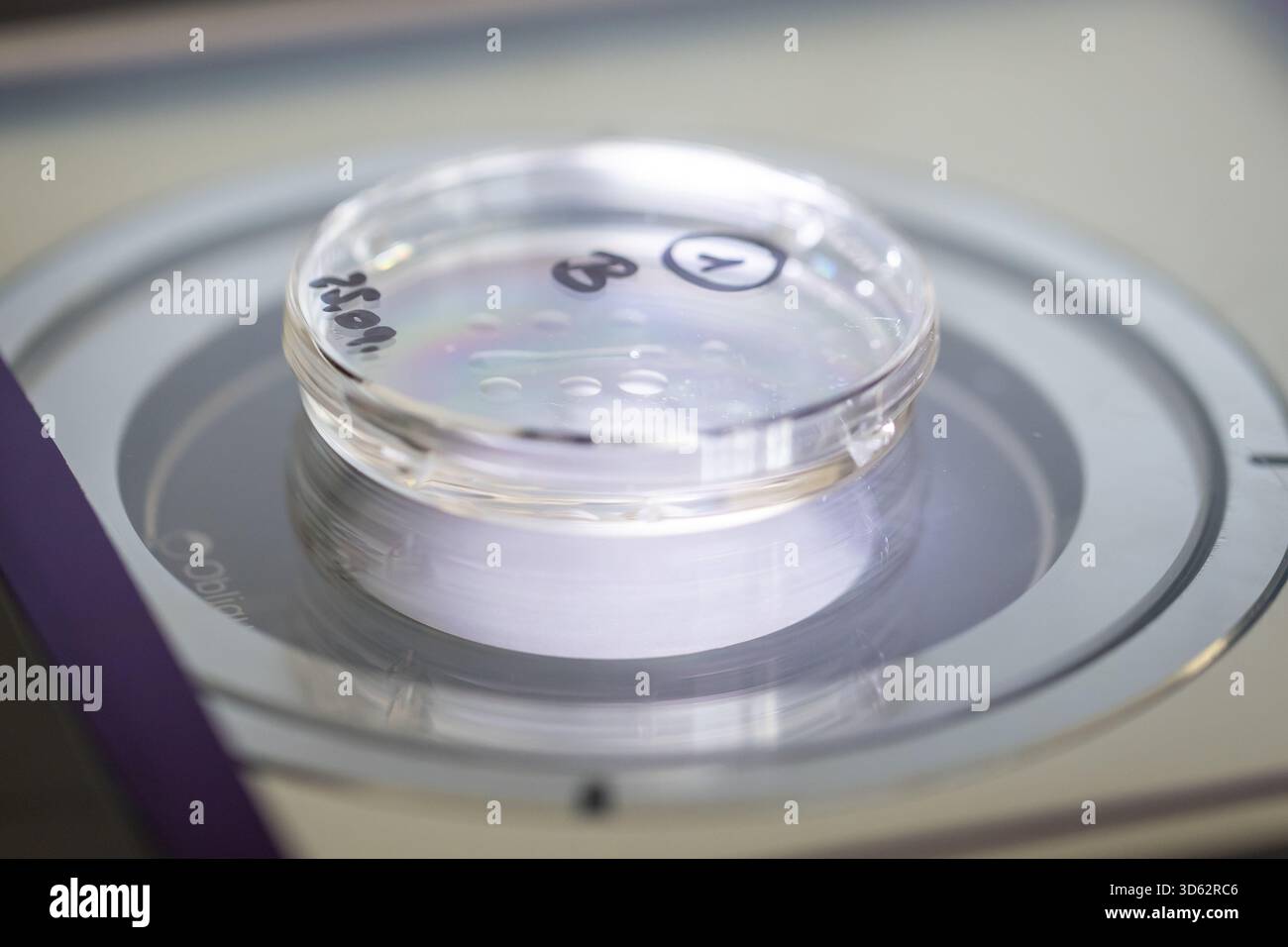 PRODUCTION - 26 September 2025, Bremen: In the laboratory of the ...