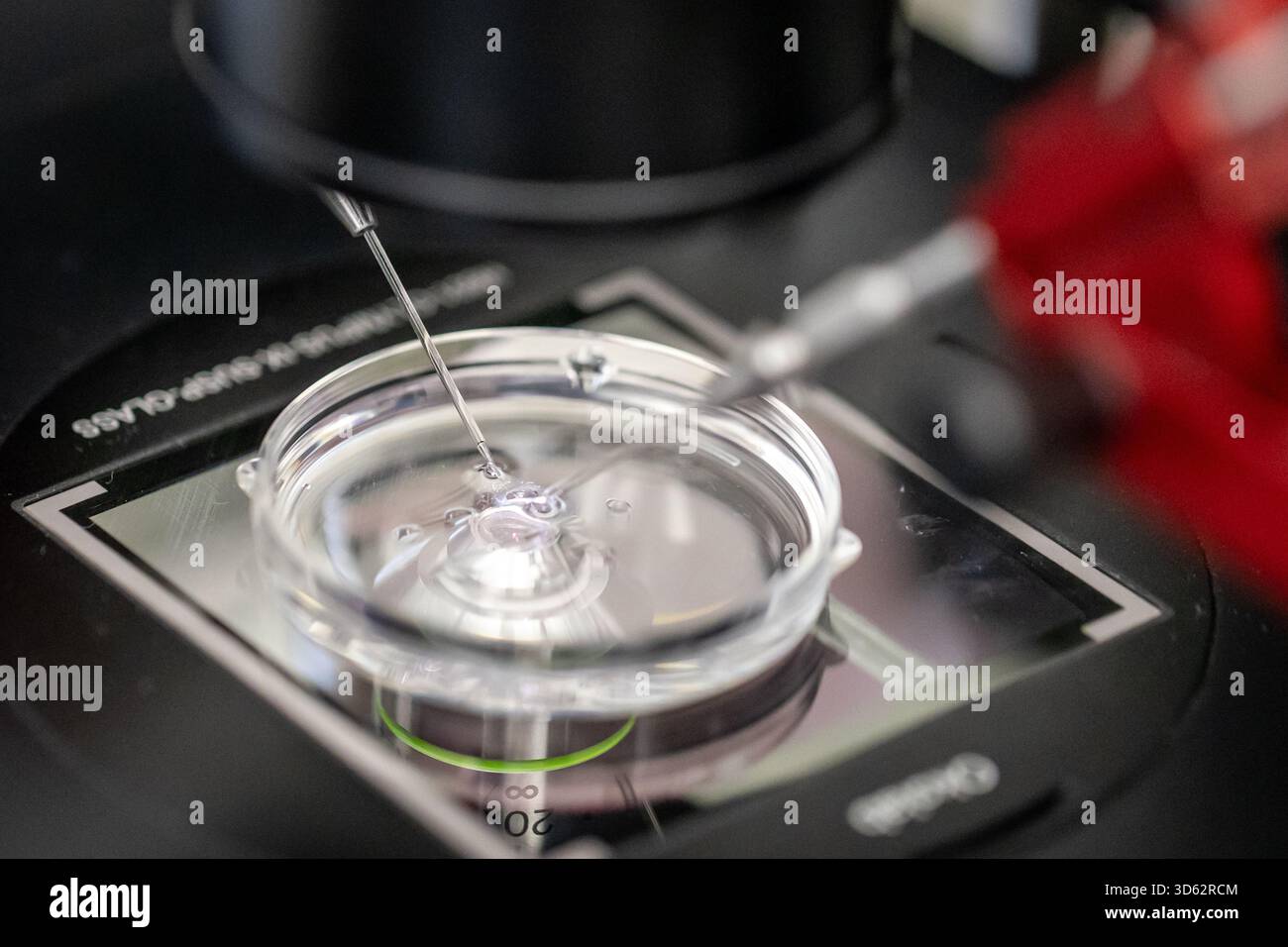 PRODUCTION - 26 September 2025, Bremen: Pipettes of a microinjector in ...
