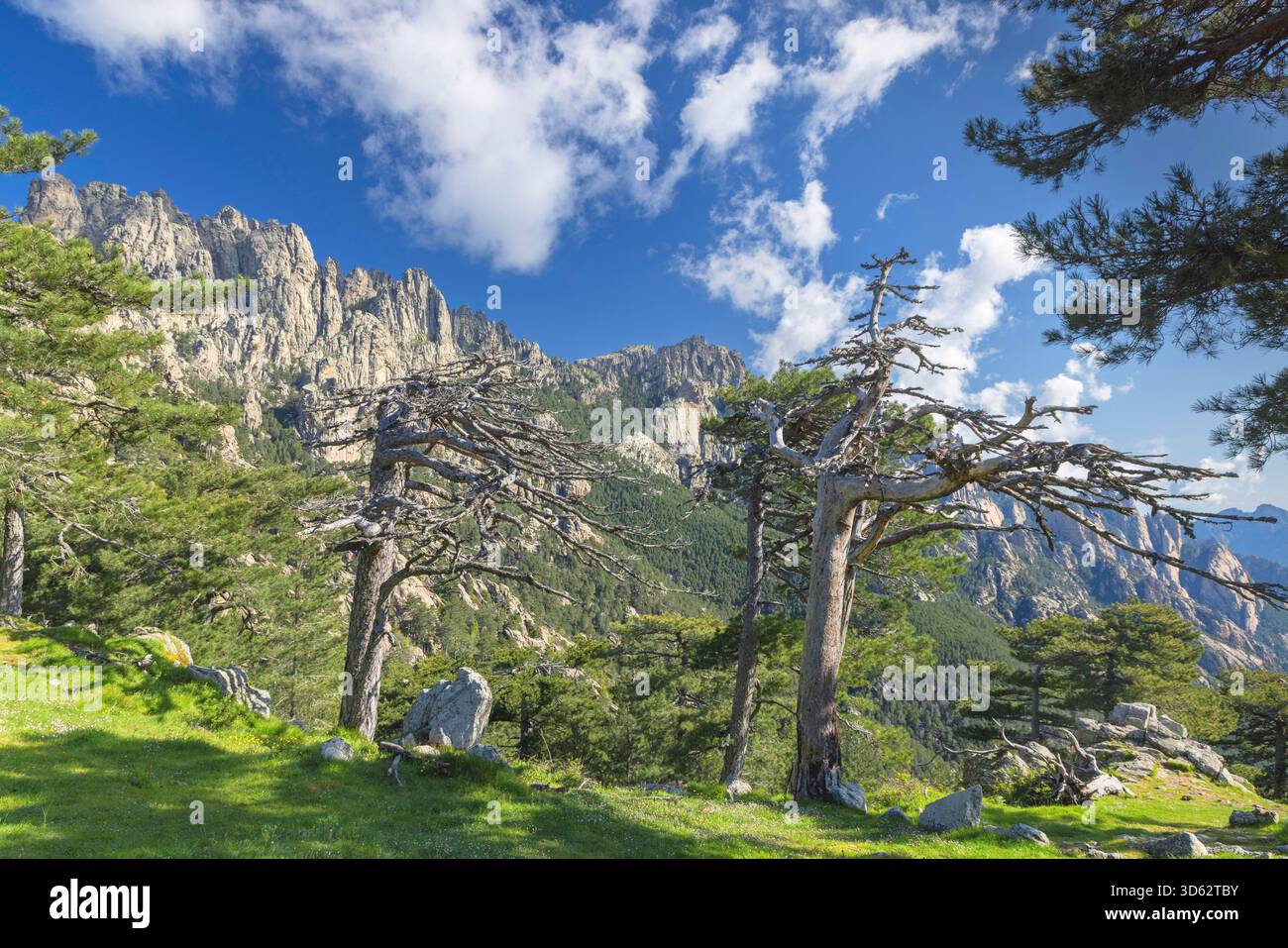 Col de Bavella mountain pass and Aiguielles de Bavella mountain range ...
