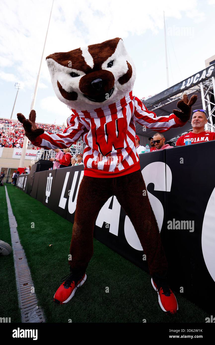 BLOOMINGTON, IN - NOVEMBER 15: "Bucky" Badger preforms during a college ...