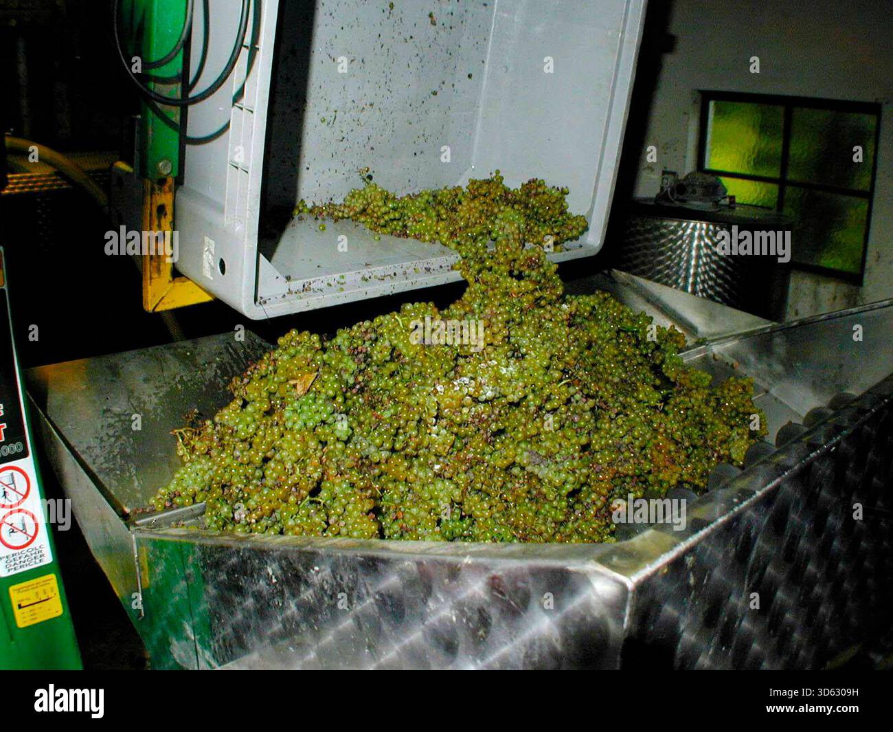 RECORD DATE NOT STATED mechanical wine pressing with white wine grapes ...