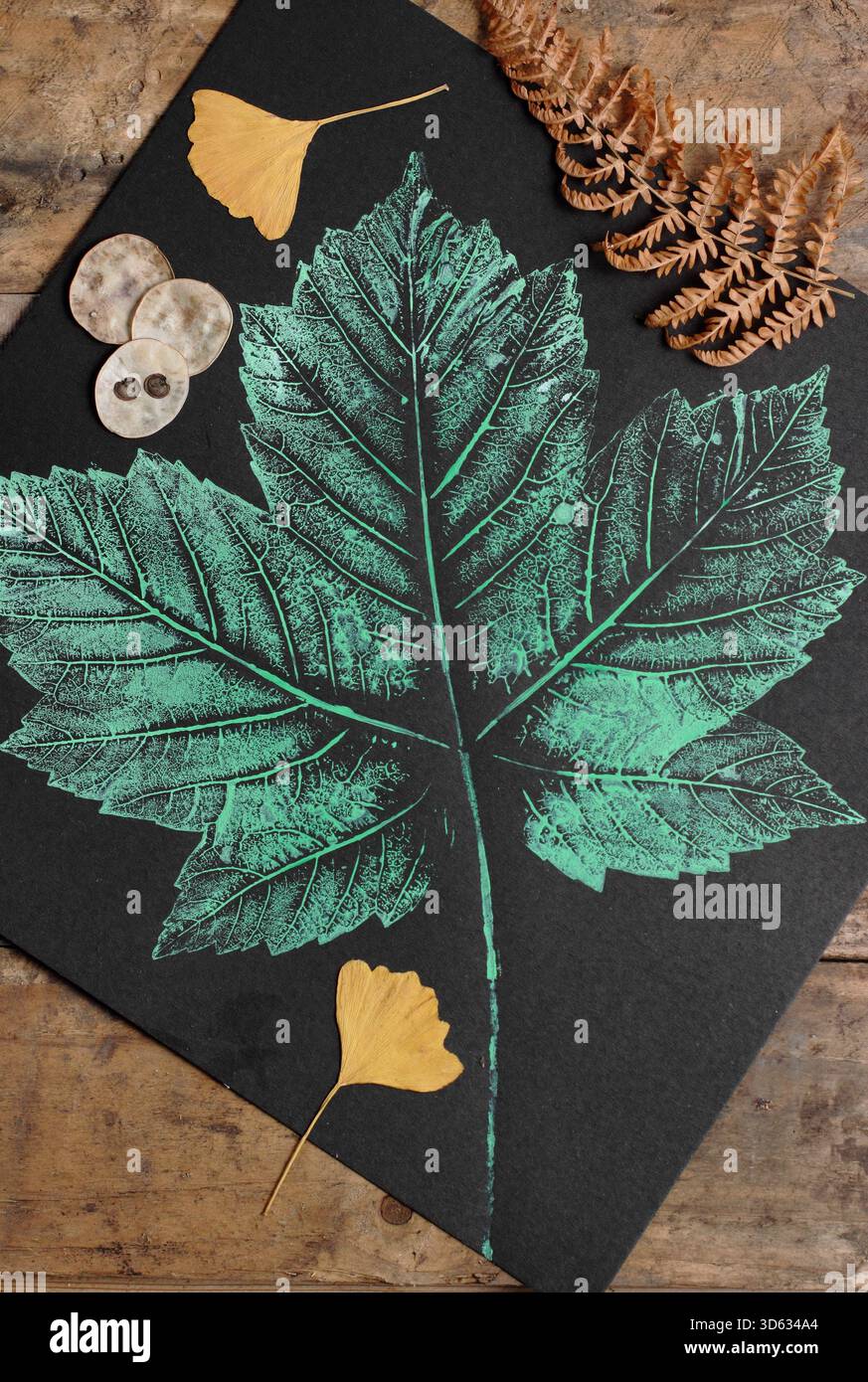 Contemporary botanical hi-res stock photography and images - Alamy