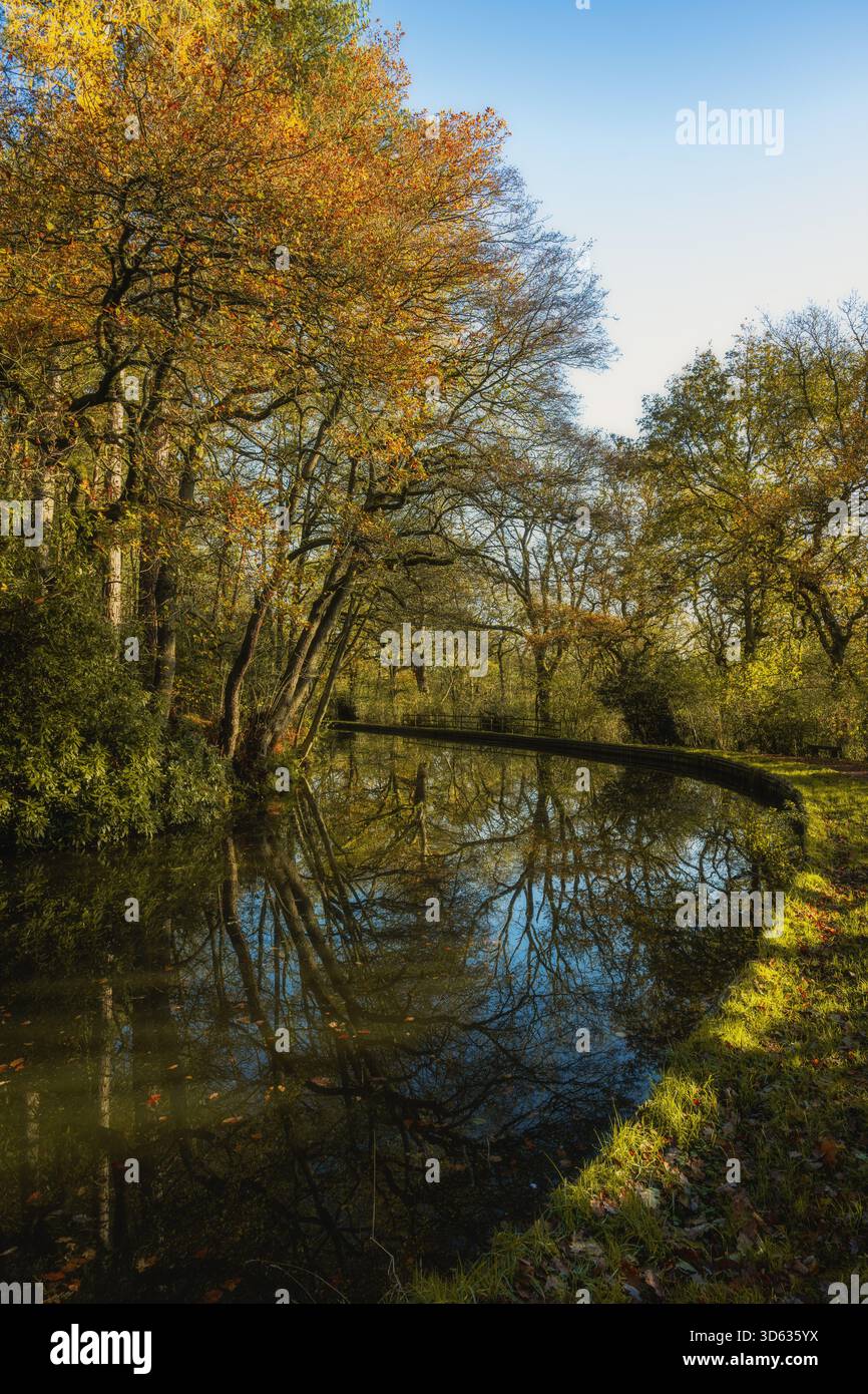Vibrant autumn, fall tree and leaf colours along the Leek branch of the ...