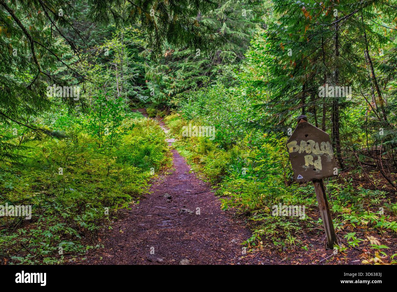 The Barlow Road, preserved section of 19th century Oregon Trail, Still ...