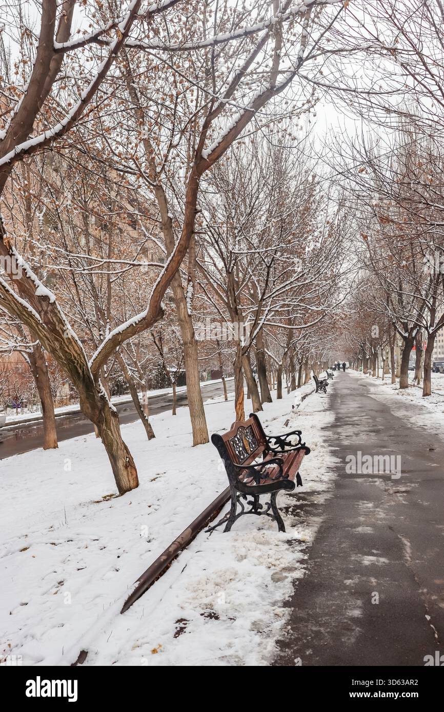 A snow-covered city park with empty benches, trees in the snow and ...