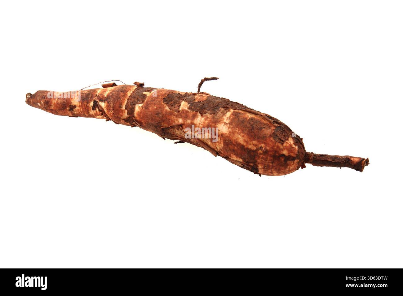 nice fresh manioc root from south africa Stock Photo - Alamy