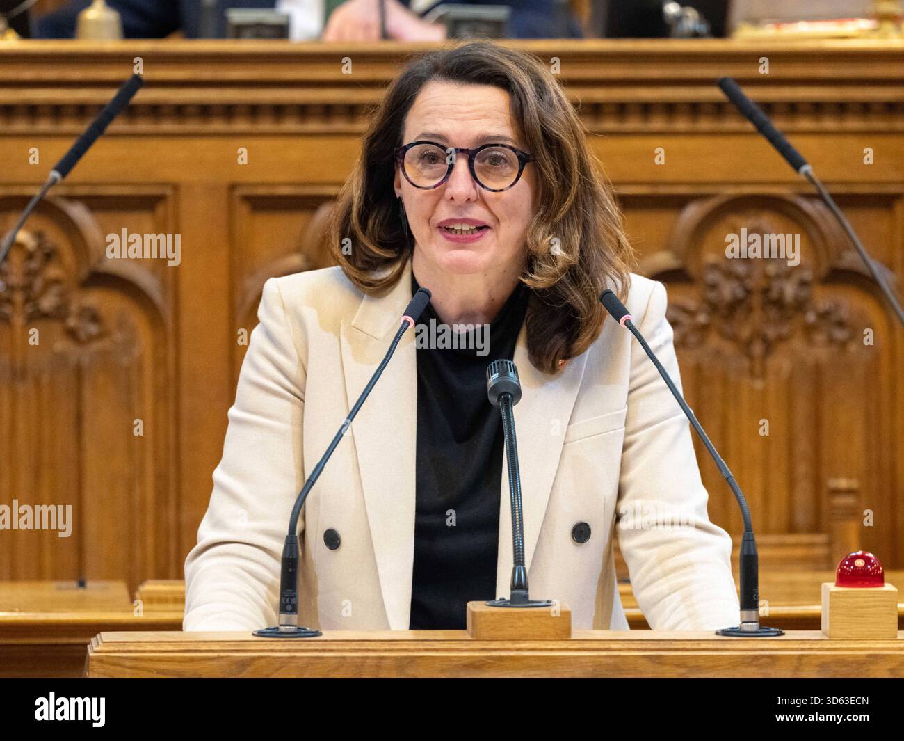 20251118 Wiener Gemeinderat 7te Sitzung WIEN, OESTERREICH - NOVEMBER 18 ...