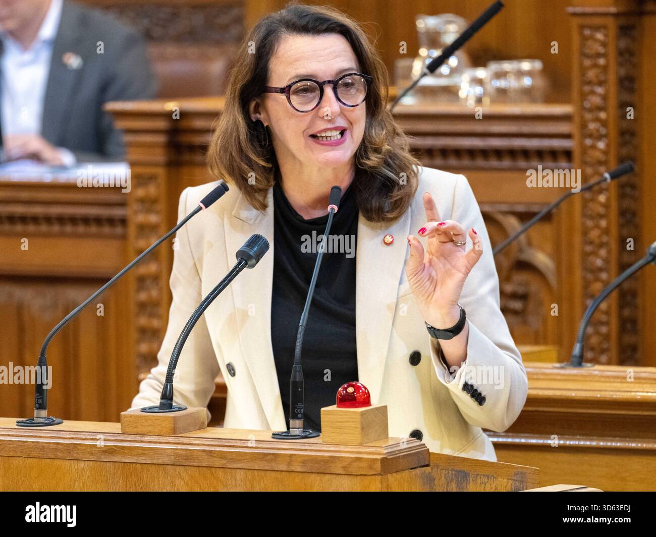 20251118 Wiener Gemeinderat 7te Sitzung WIEN, OESTERREICH - NOVEMBER 18 ...