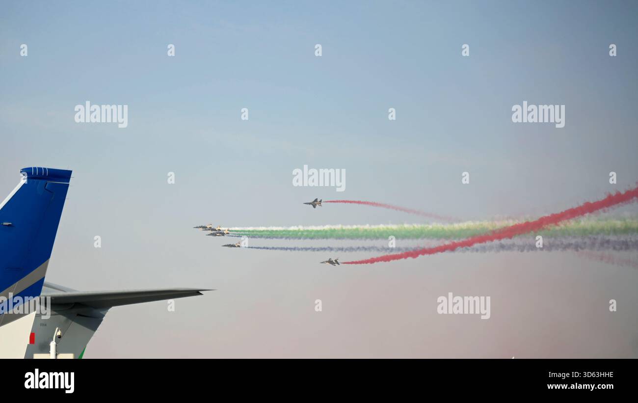 18 November 2025, United Arab Emirates, Dubai: View of the national ...