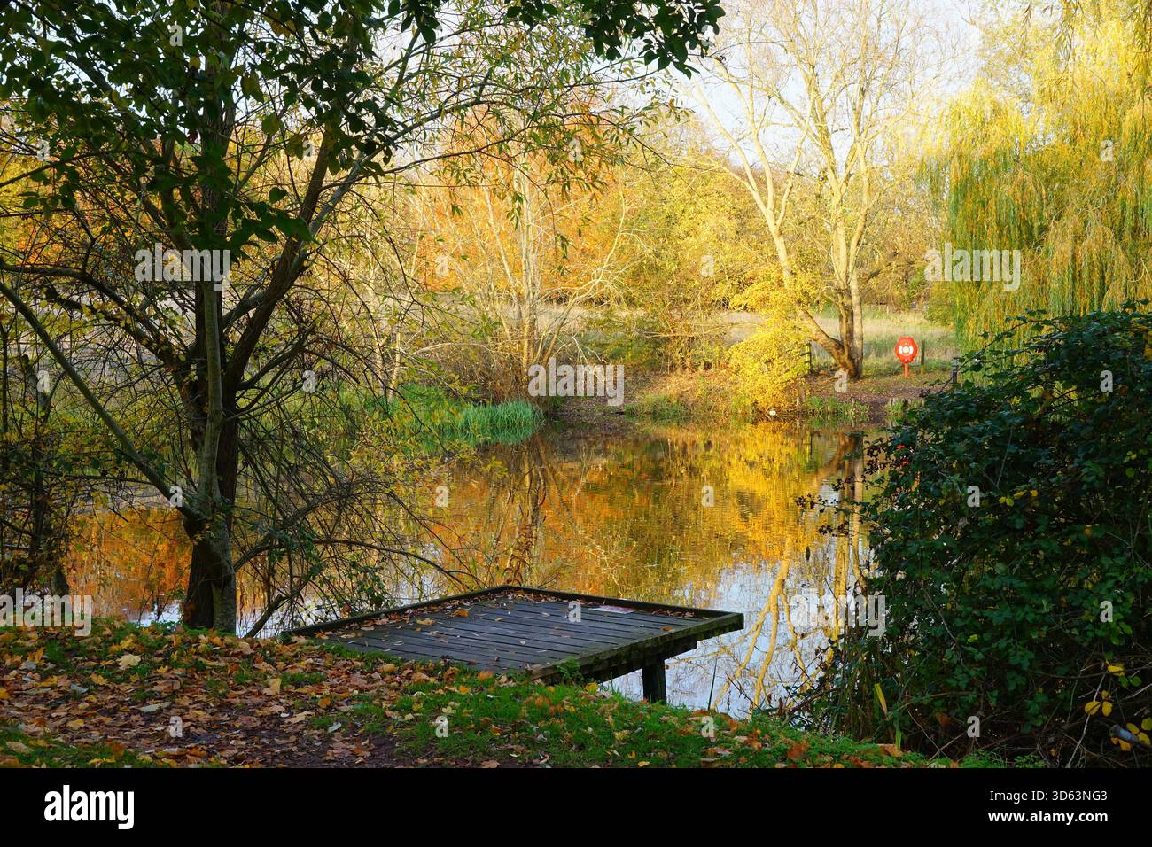 Evening garden autumn hi-res stock photography and images - Alamy